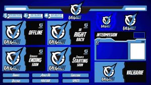 Custom Twitch Overlays For Professional Streaming