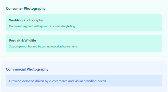 Photography Industry Statistics: 2025 Key Trends